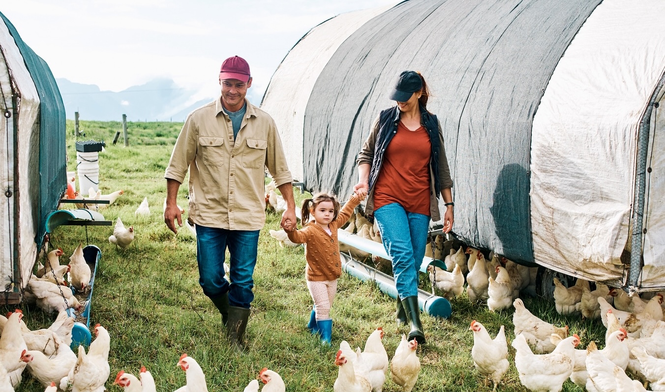 Careers - Good Roots Food, Agricultural & Farm Accounting Services ...