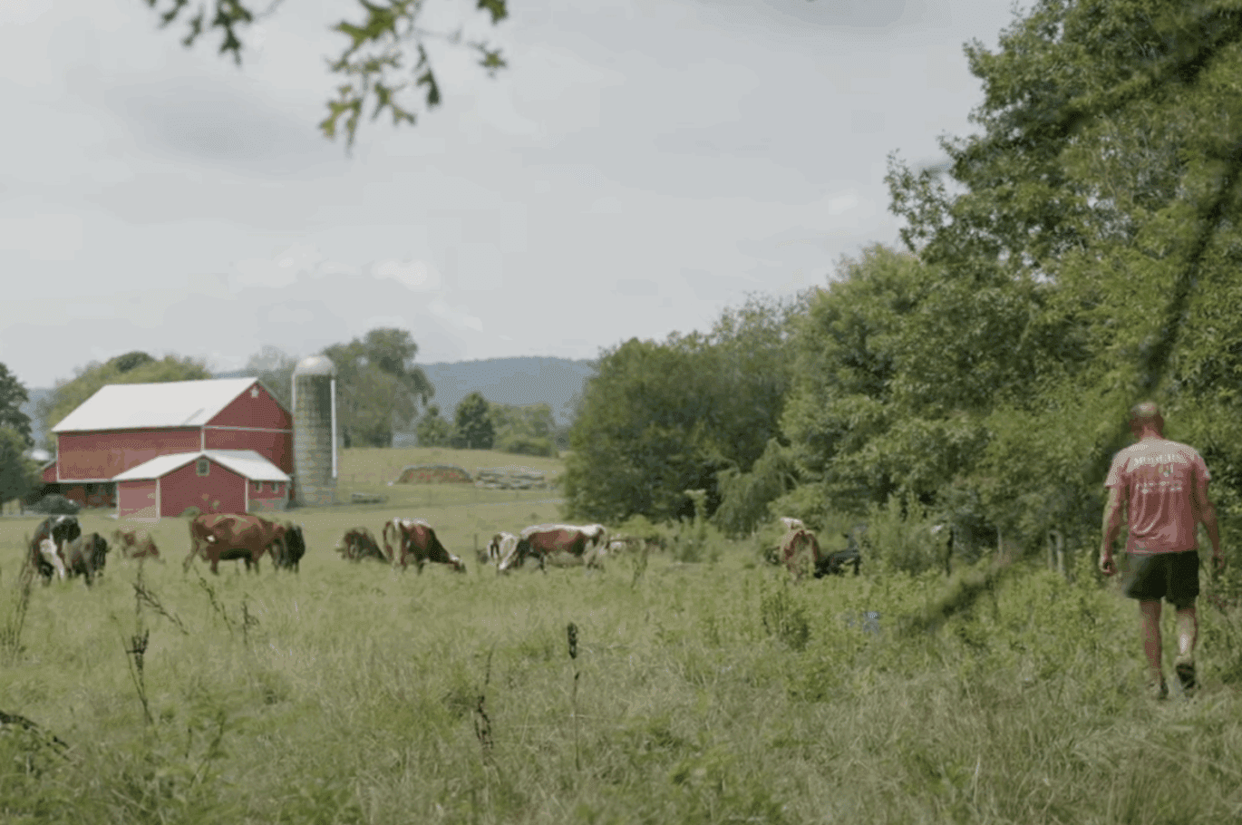 Peachee Farms: A Family Farm's Succession Journey - Good Roots