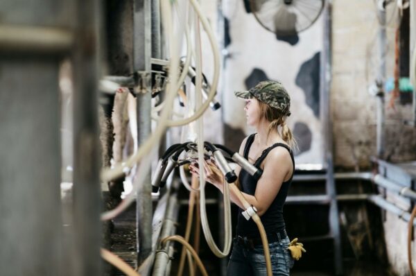 5 Tips to Create a Strong Job Posting - Good Roots